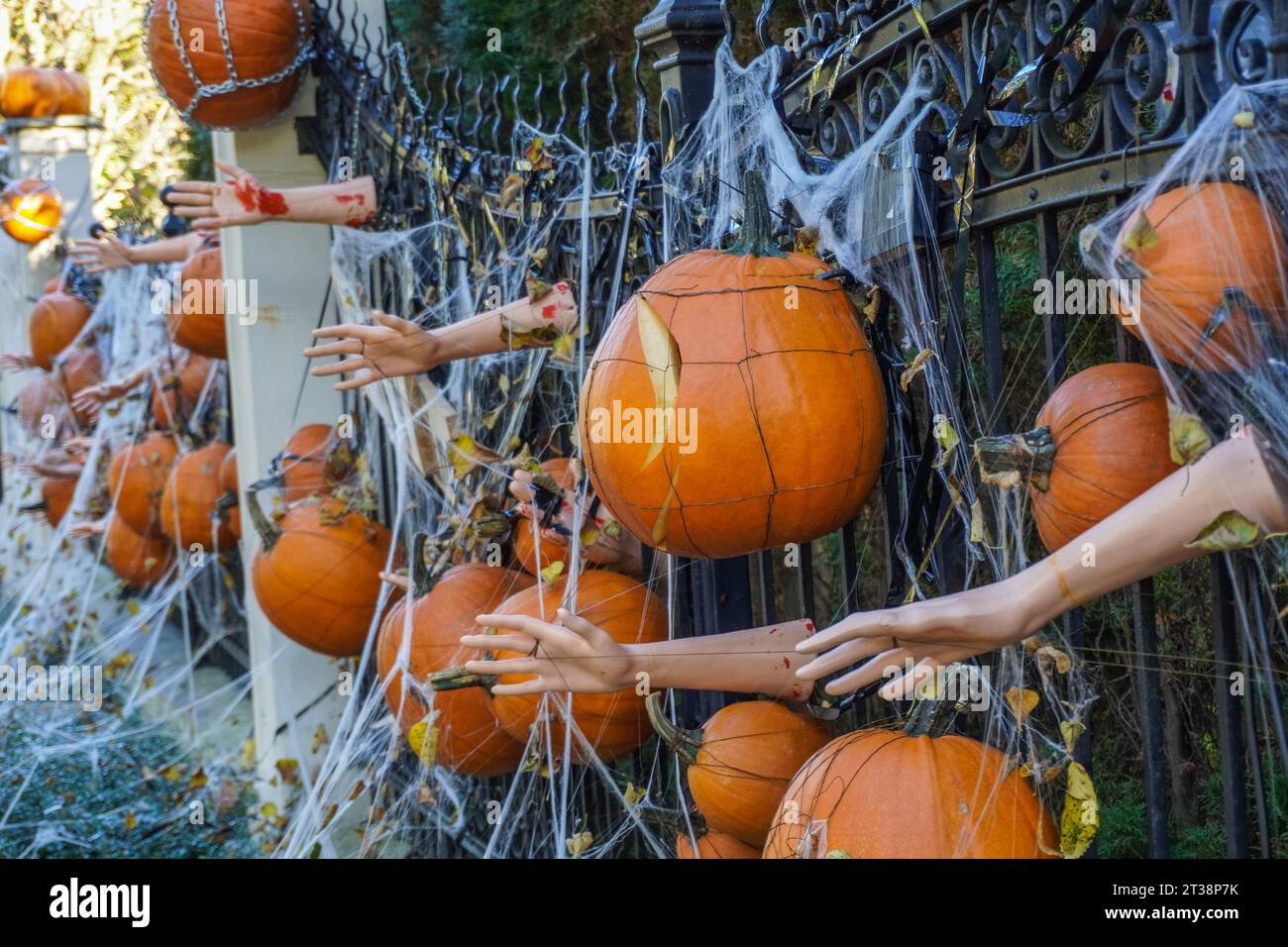 A house decorated with themes from the movie character of Anna Morgan ...