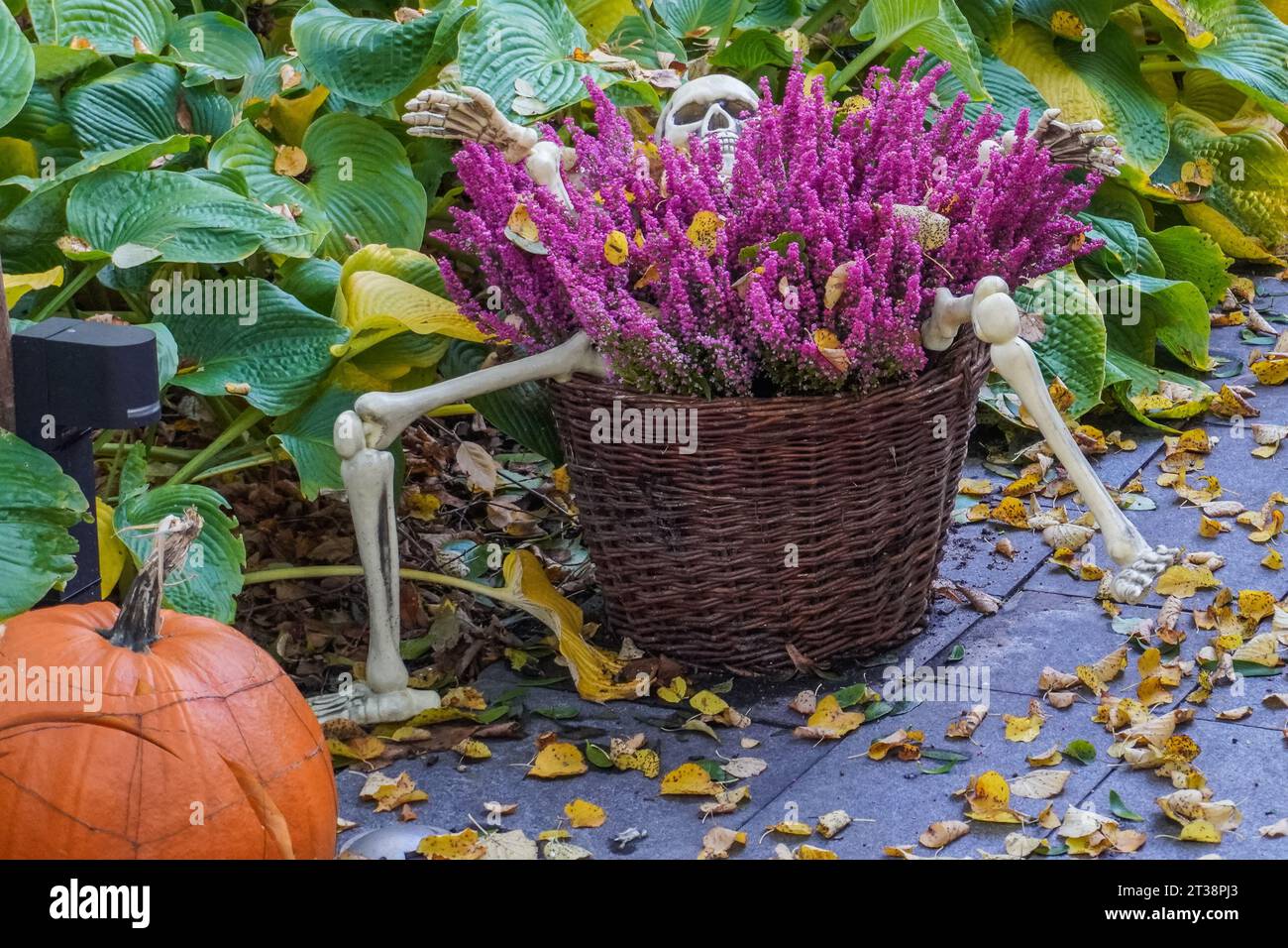 A house decorated with themes from the movie character of Anna Morgan ...