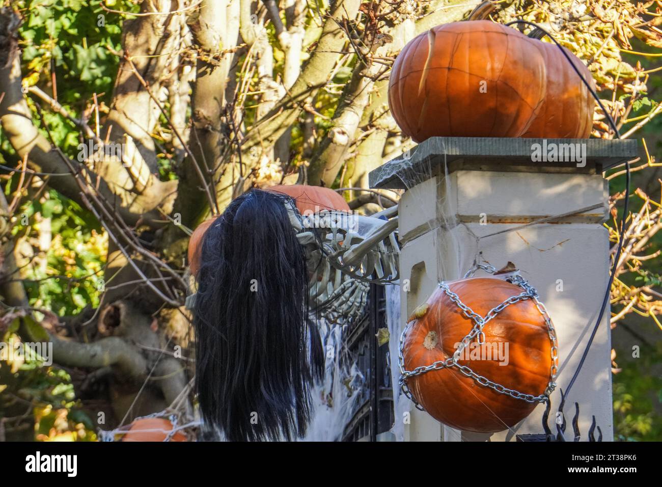 A house decorated with themes from the movie character of Anna Morgan ...