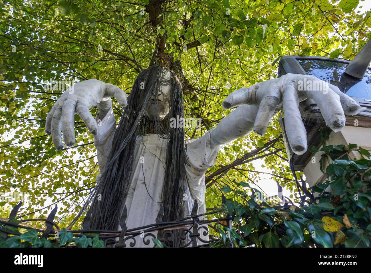 A house decorated with themes from the movie character of Anna Morgan ...
