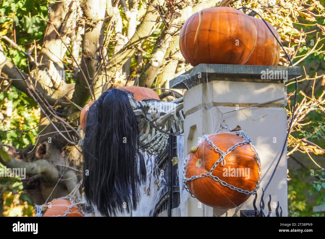 A house decorated with themes from the movie character of Anna Morgan ...