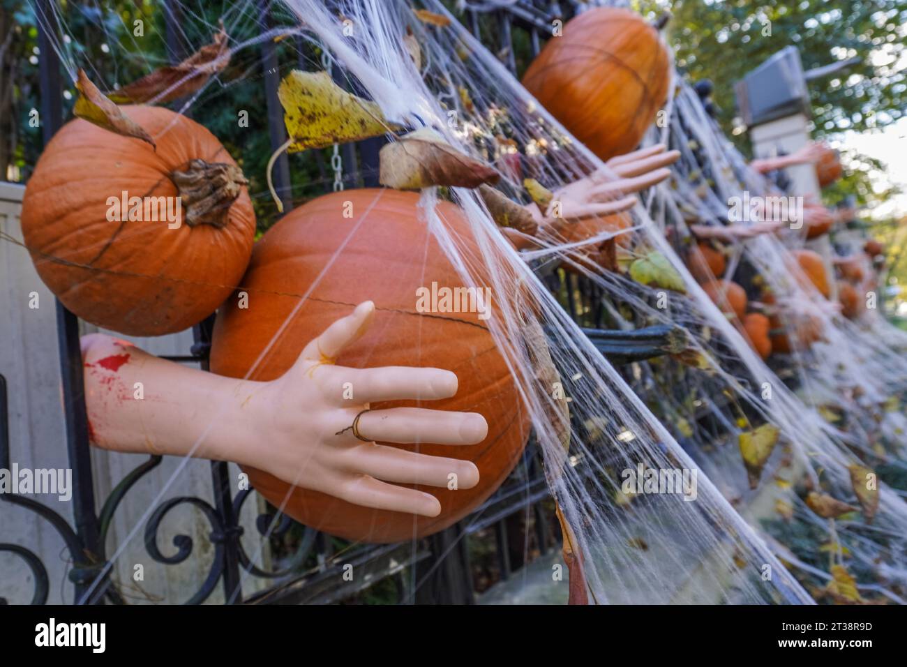 A house decorated with themes from the movie character of Anna Morgan ...