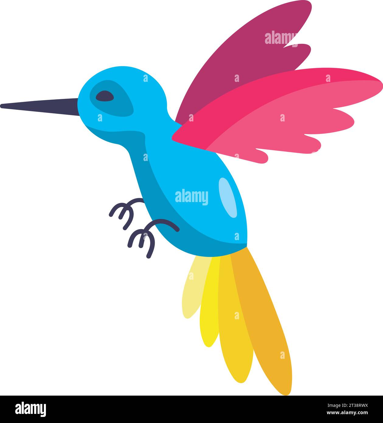 colombian hummingbird bird Stock Vector Image & Art - Alamy