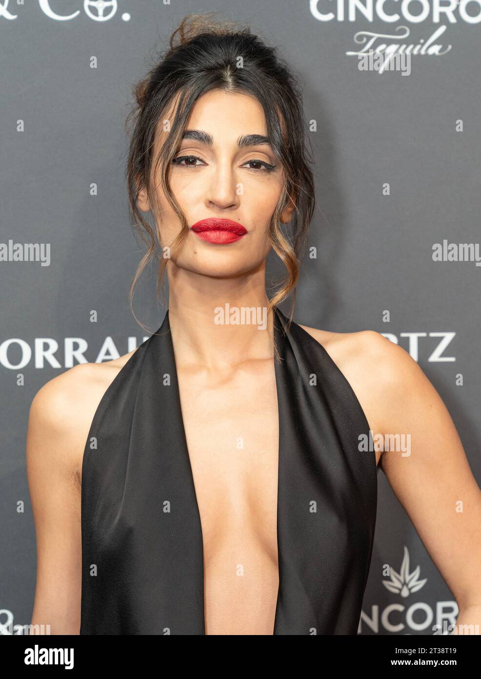 New York, USA. 23rd Oct, 2023. Sofia Harmanda attends Gabrielle's Angel Foundation Hosts Angel ...