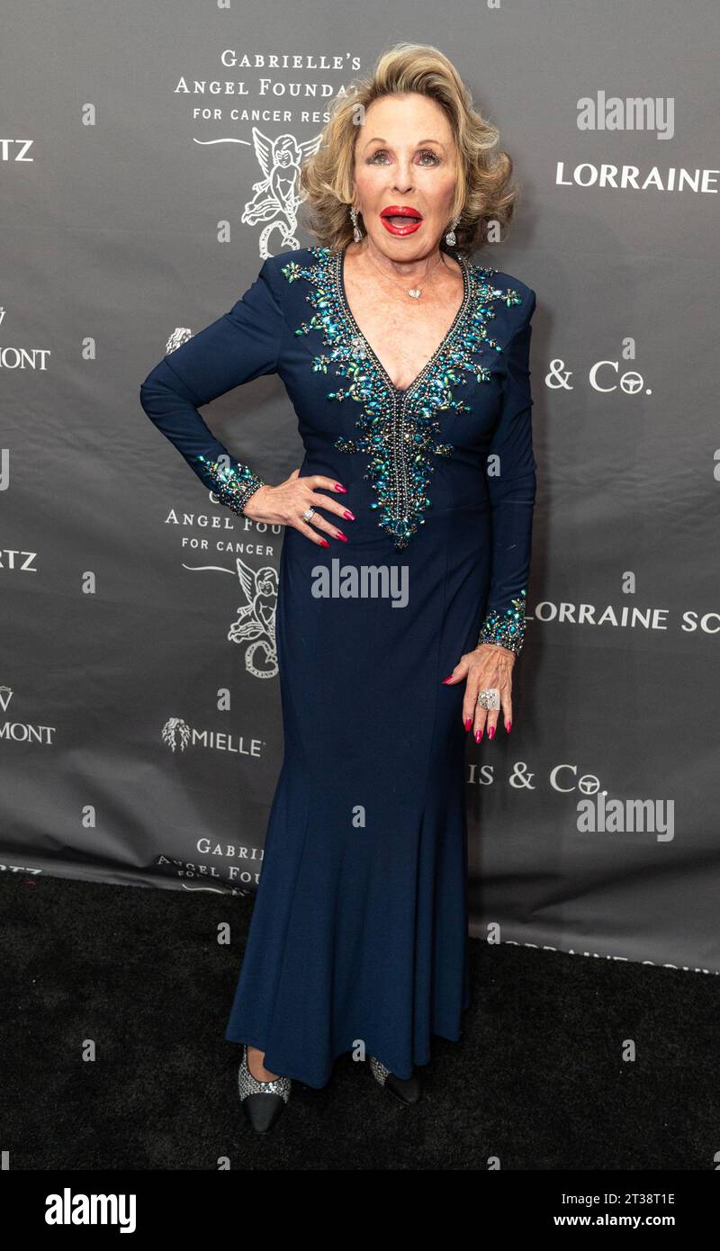 New York, USA. 23rd Oct, 2023. Nikki Haskell attends Gabrielle's Angel ...