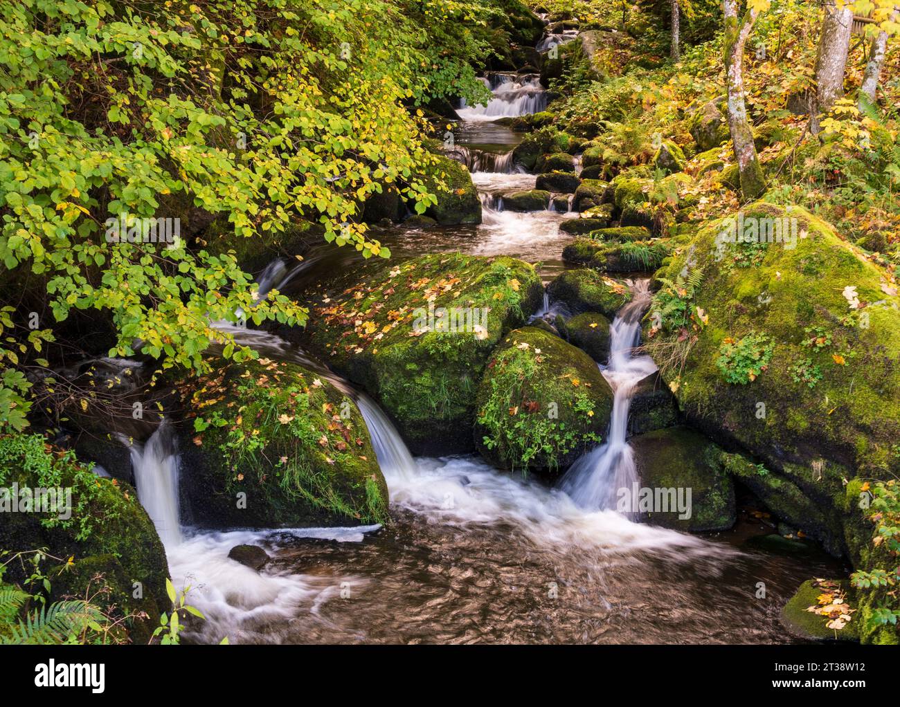 The Triberg Waterfalls in Black Forest, Schwarzwald, Germany During ...