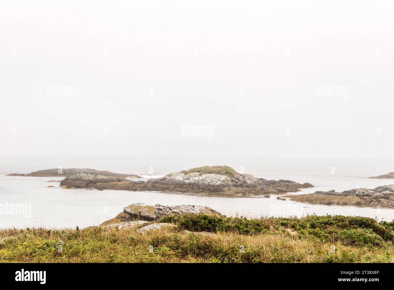Exploring the beach in the mist morning at Kejimkujik National Park ...