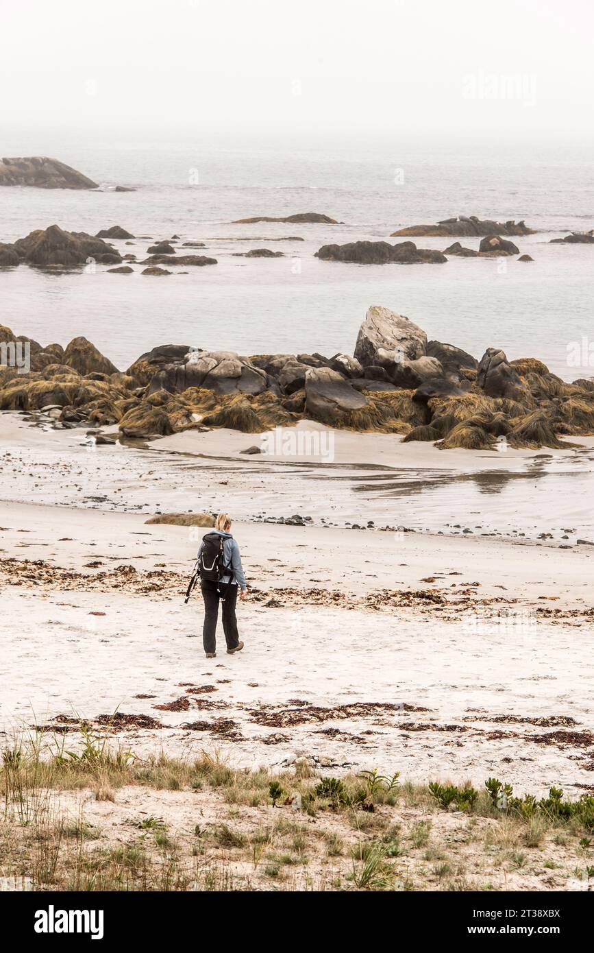 Exploring the beach in the mist morning at Kejimkujik National Park ...