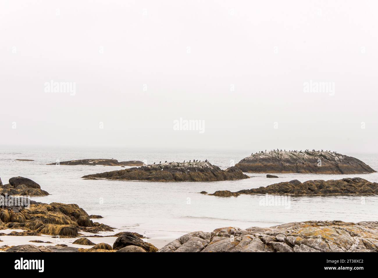 Exploring the beach in the mist morning at Kejimkujik National Park ...