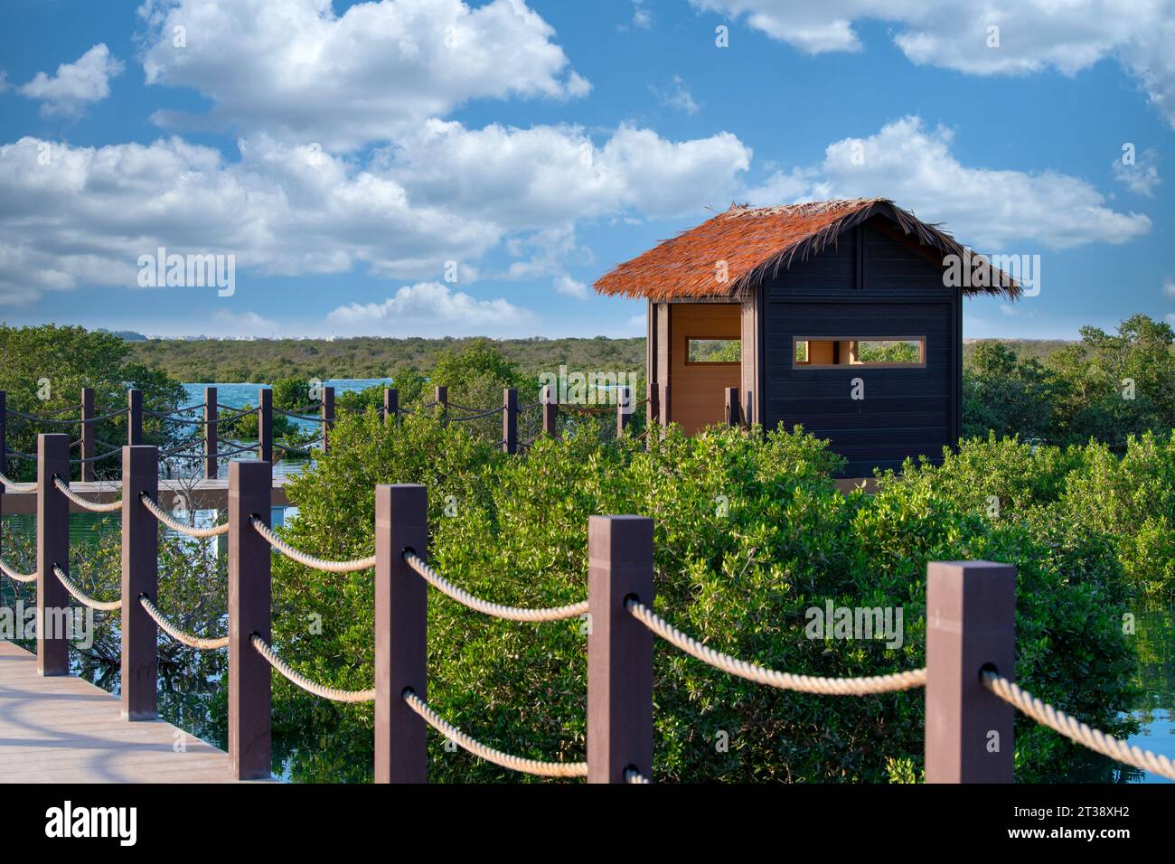 Purple Island full of Mangrove in Thakira. Known as Dakhira Stock Photo ...