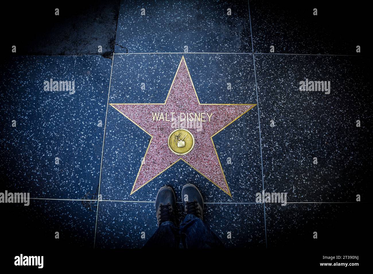 Standing by Walt Disney Star in Hollywood Walk of Fame - Los Angeles ...