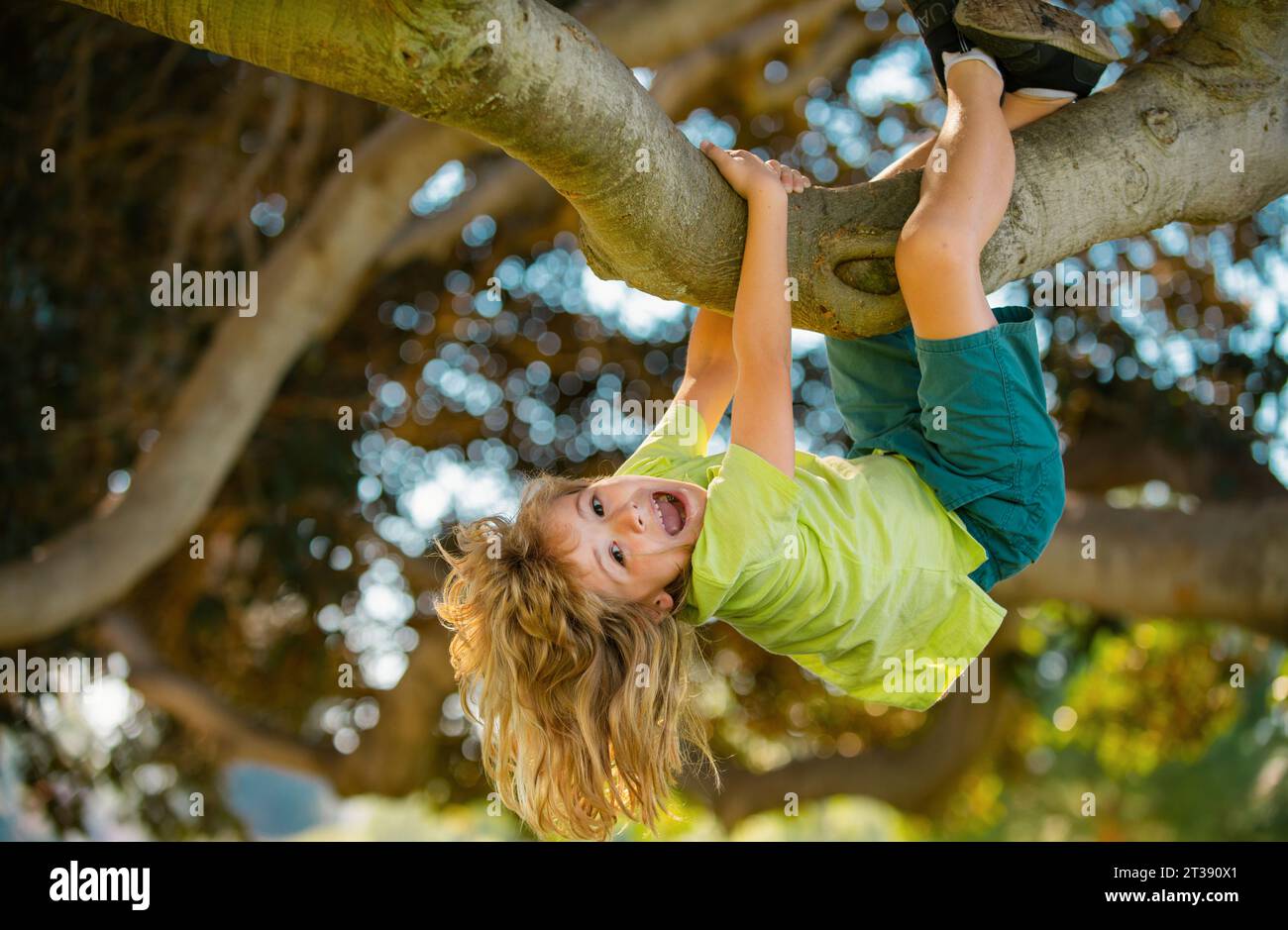 Little child boy trying to climb a tree. Kids climbing a tree. Happy ...