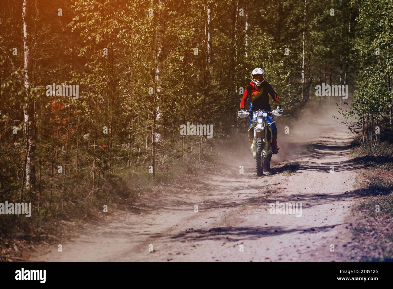 Enduro motorcycle race trees hi-res stock photography and images - Alamy