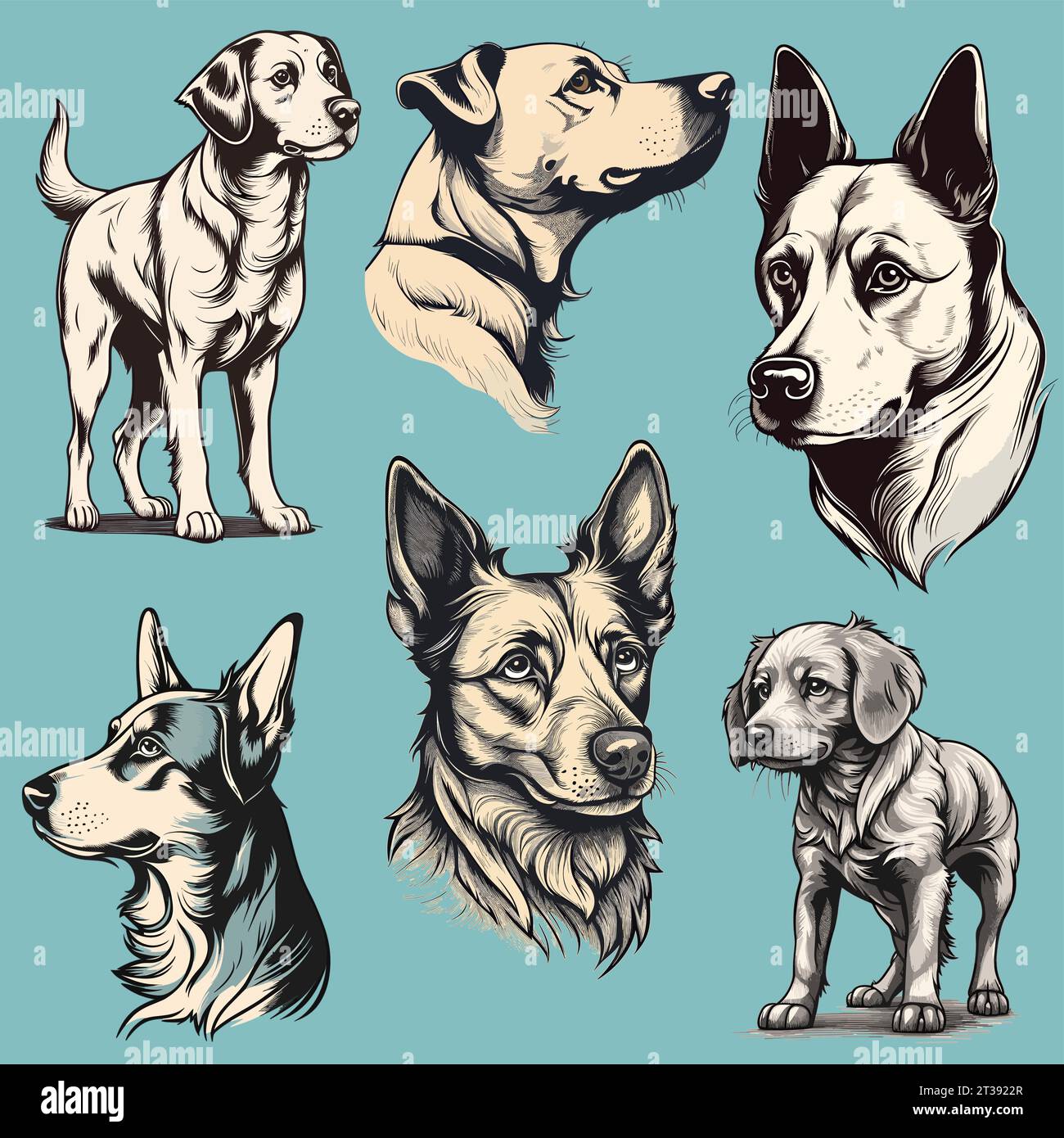 Set of dogs Stock Vector Image & Art - Alamy