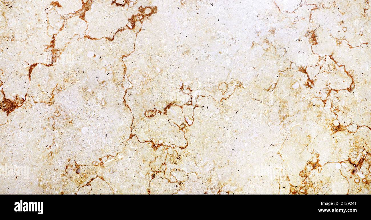 Horizontal or vertical background with natural limestone texture of ...