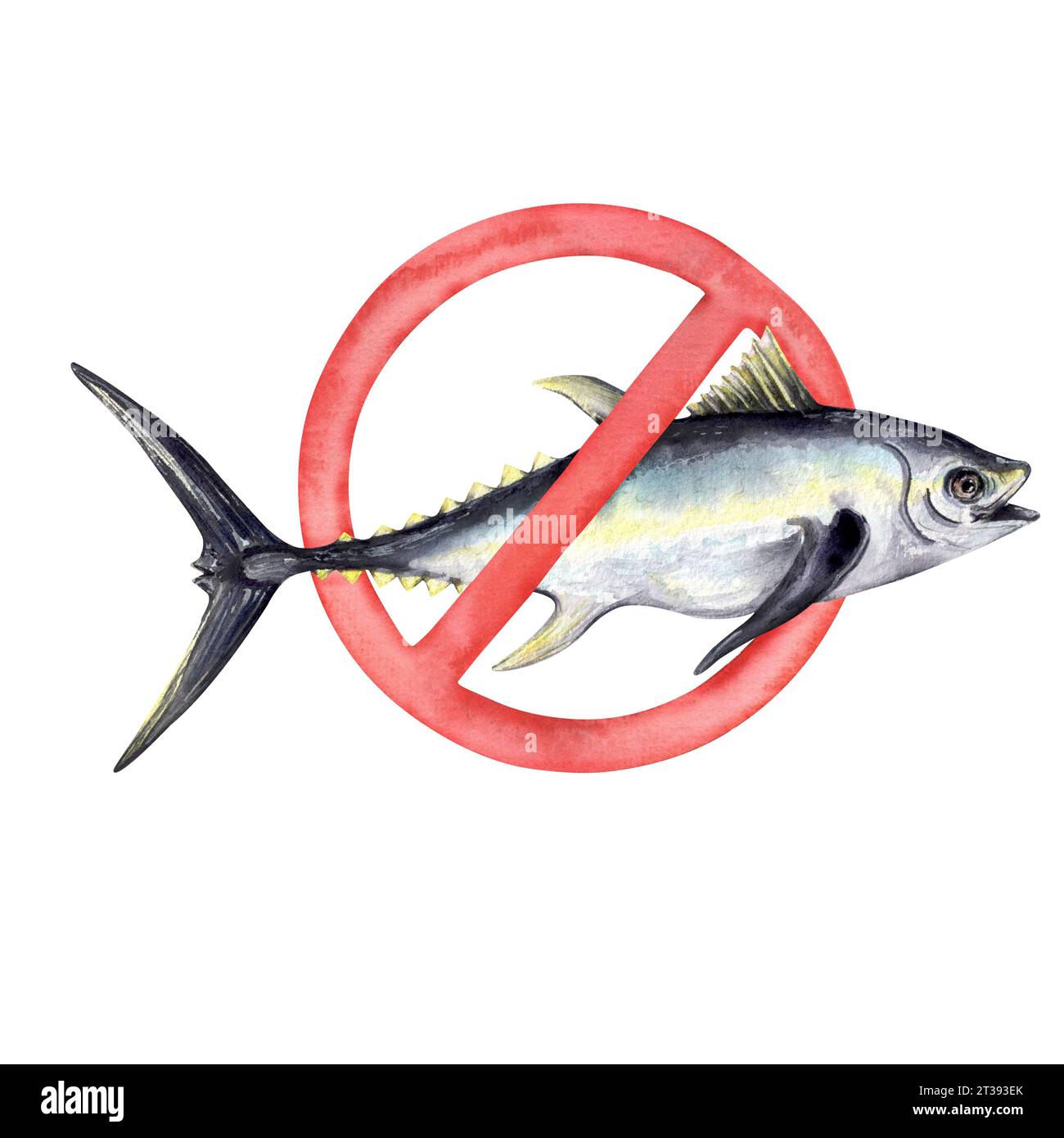 Commercial tuna fishing Cut Out Stock Images & Pictures - Alamy