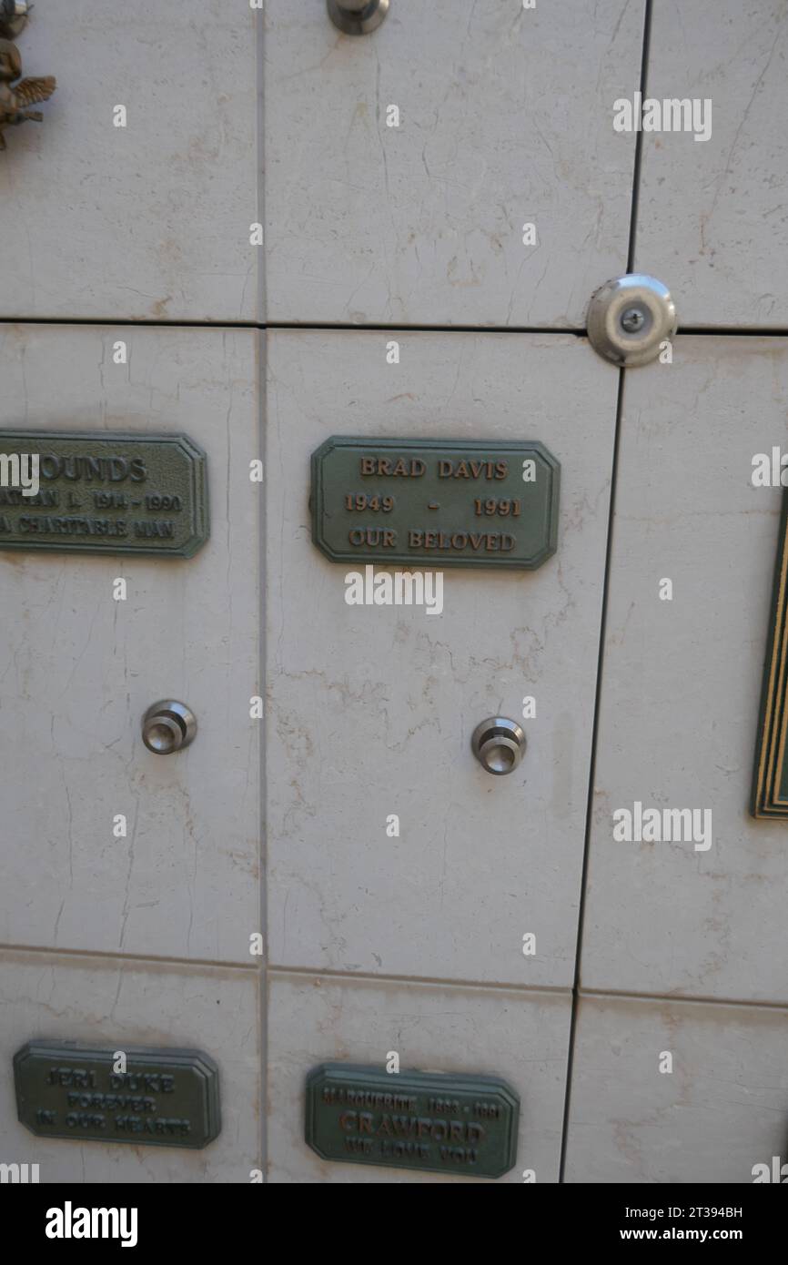 Brad davis actor hi-res stock photography and images - Alamy