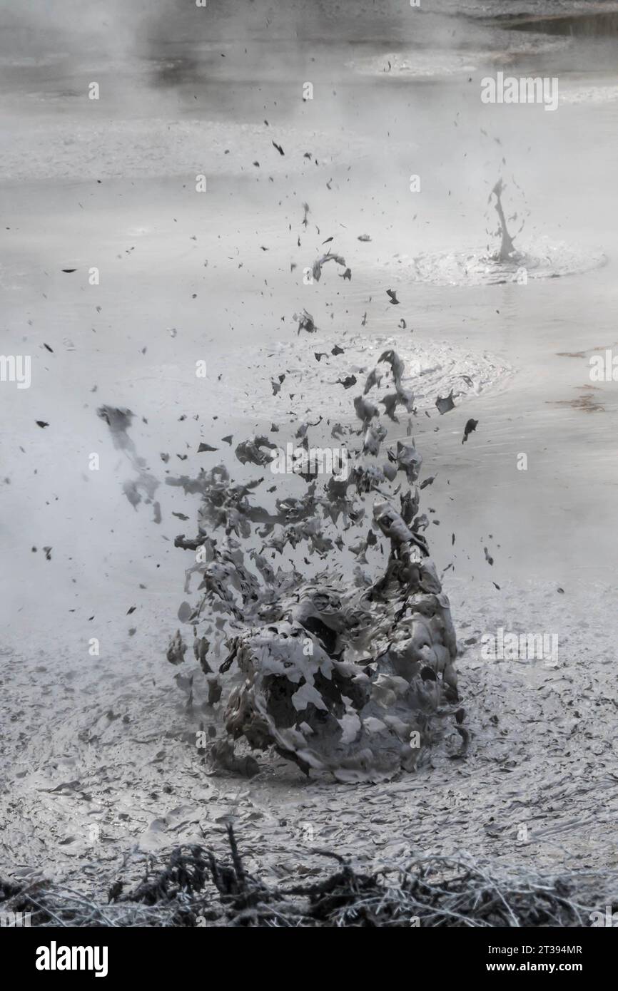 Bubble of gas erupting from a mud pool in the geothermal Waiotapu ...