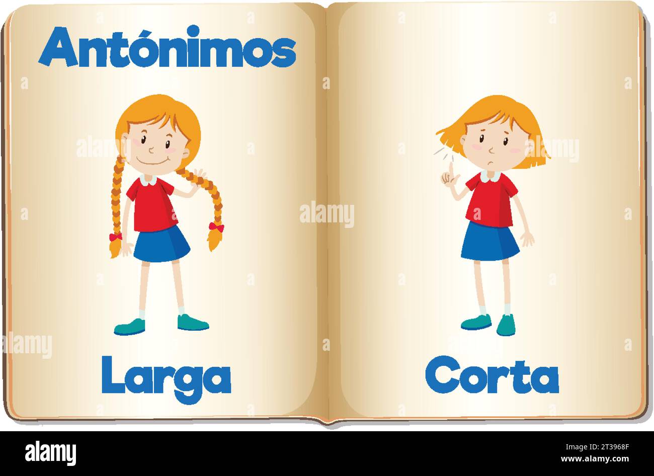 Illustrated word cards in Spanish teaching the concepts of long and ...