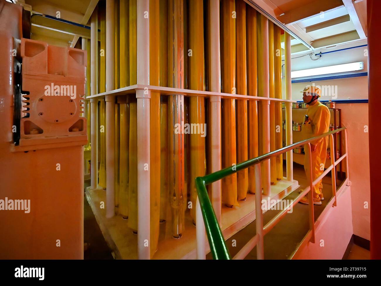 Fresh fuel storage with new generation fuel rods with the PK3 marking ...