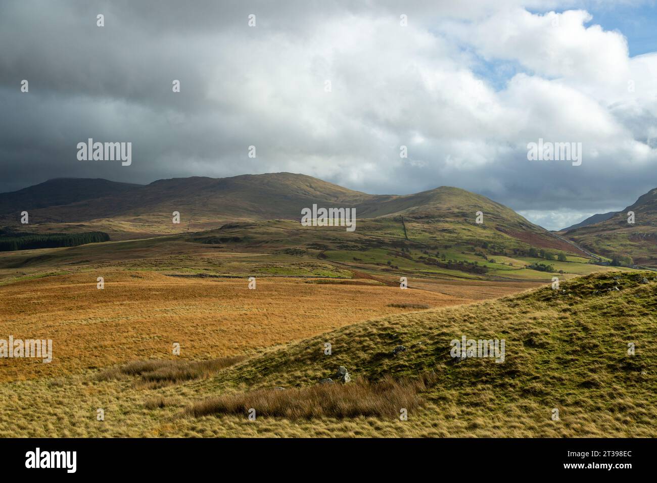 Foel caerynwch hi-res stock photography and images - Alamy