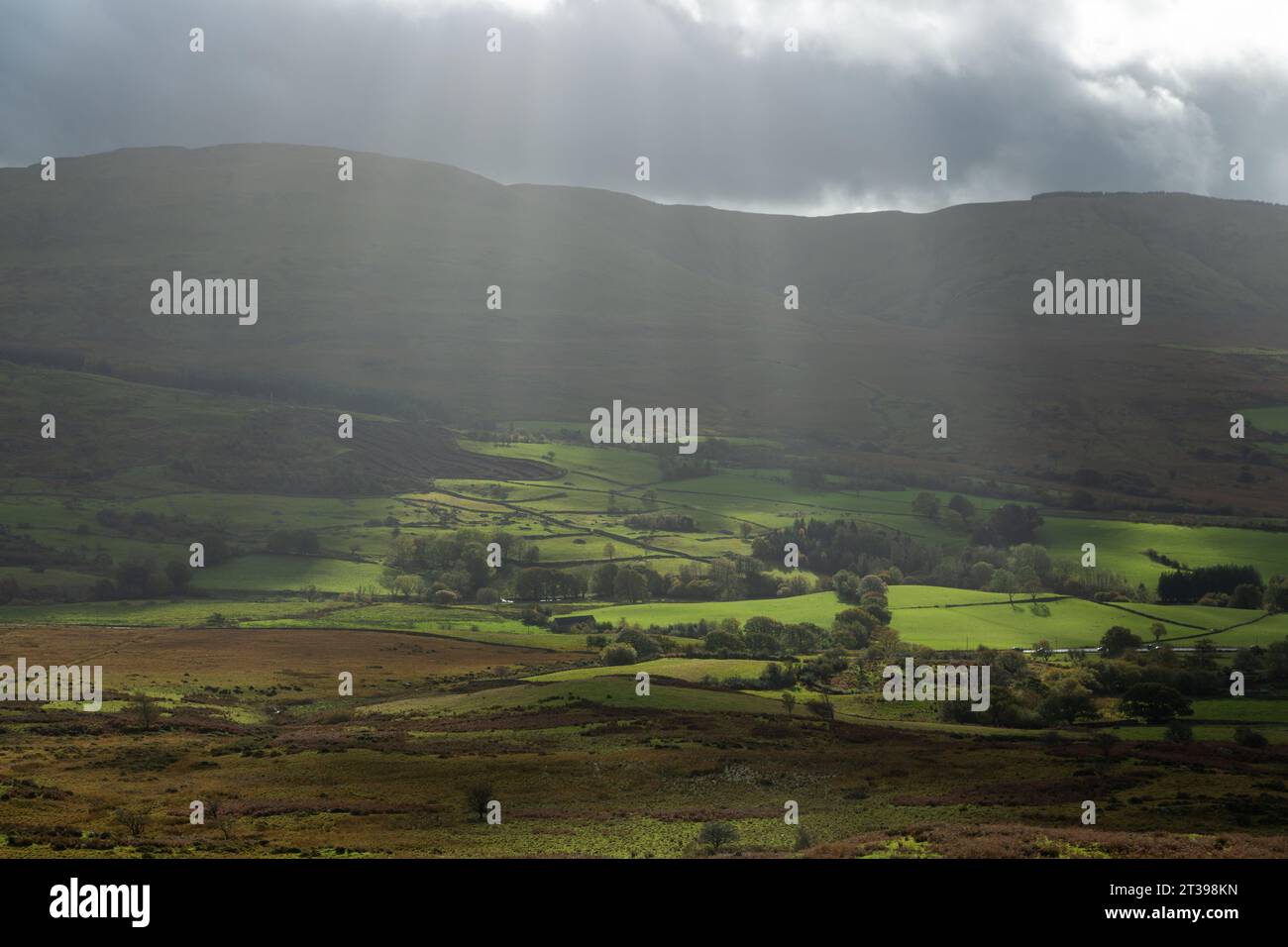 Foel caerynwch hi-res stock photography and images - Alamy