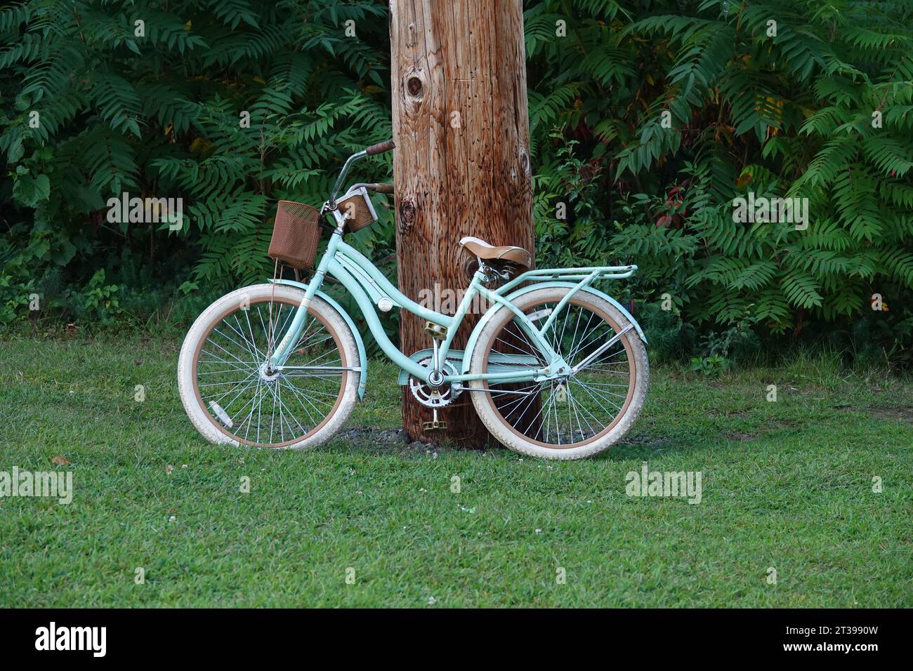 Sky Blue Bicycle Stock Photo - Alamy
