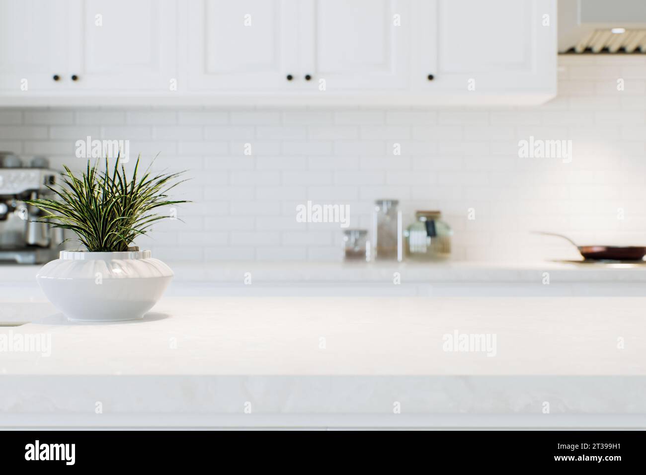 Modern white kitchen countertop with indoor plants Stock Photo - Alamy