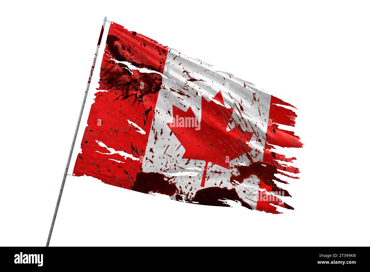 Canada torn flag on transparent background with blood stains Stock ...