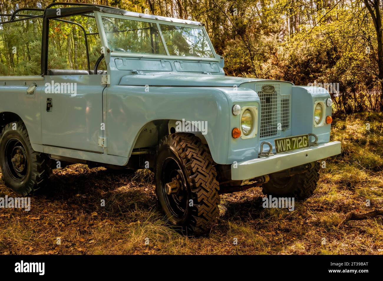 Car parked in woodland hi-res stock photography and images - Alamy