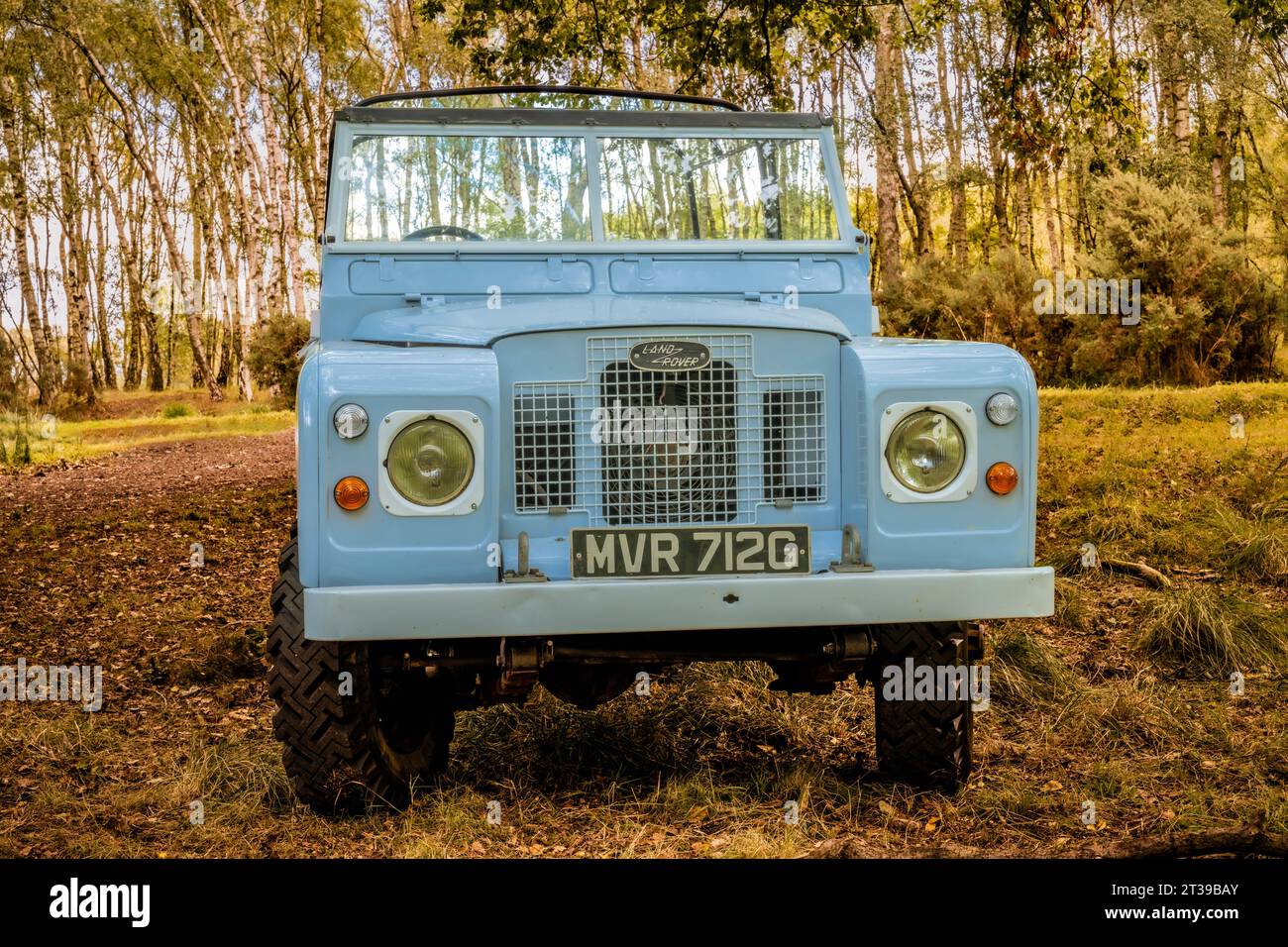 Land Rover Series II parked in UK woodland in Autumn Stock Photo - Alamy