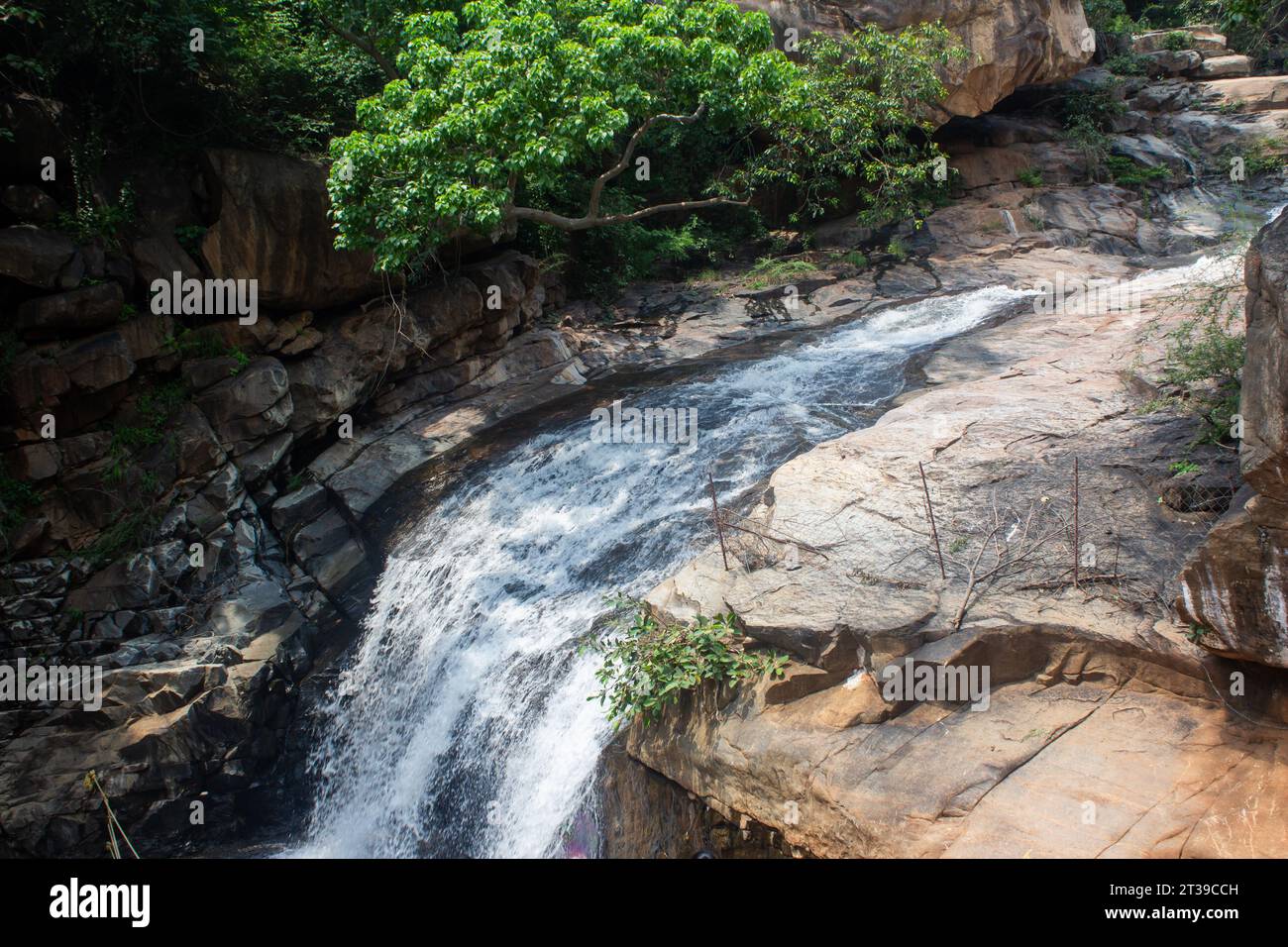 Aanaivaari Muttal Waterfalls located in Kalvarayan Hills near Attur ...