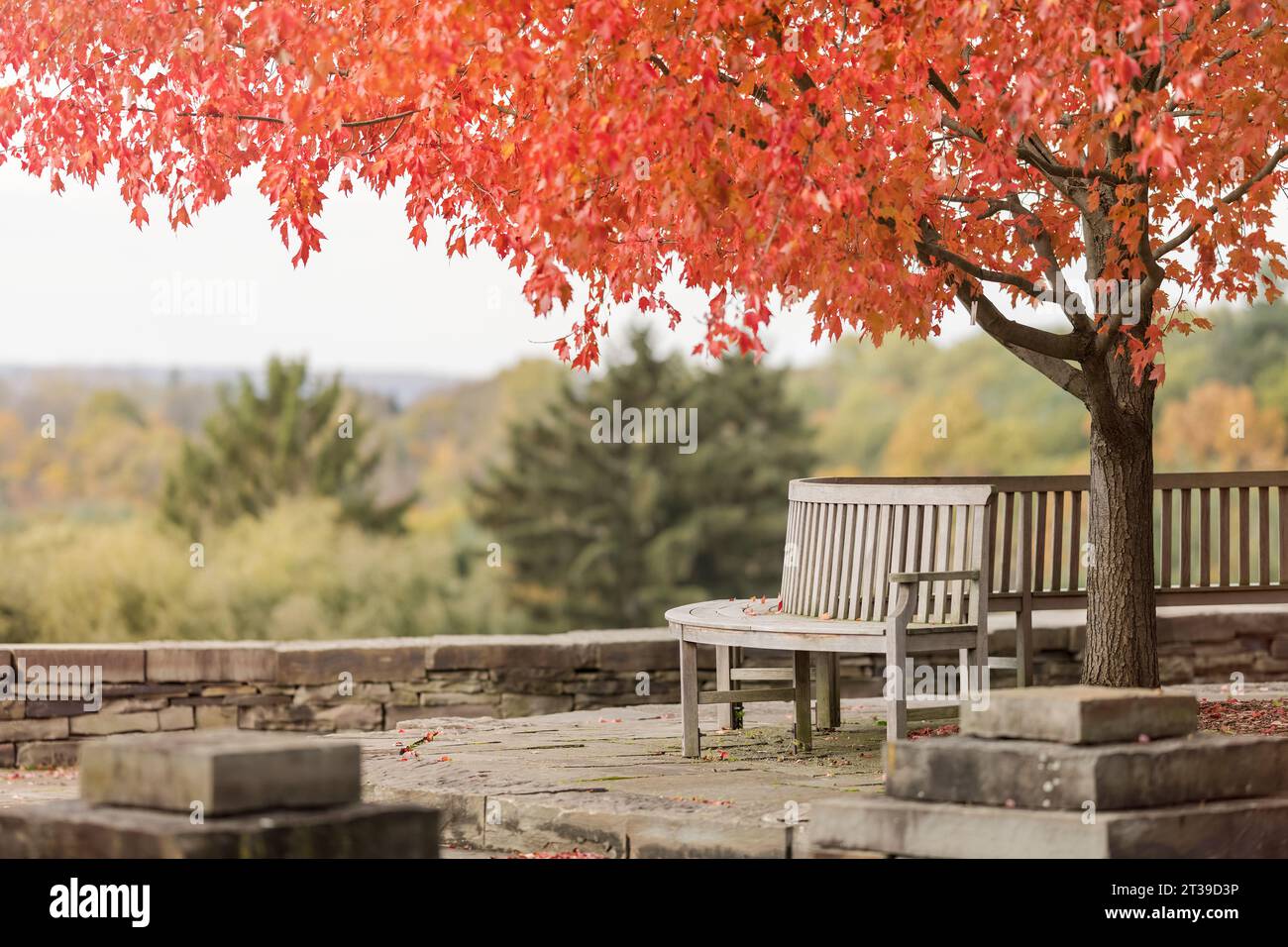 Empty red park benches hi-res stock photography and images - Alamy