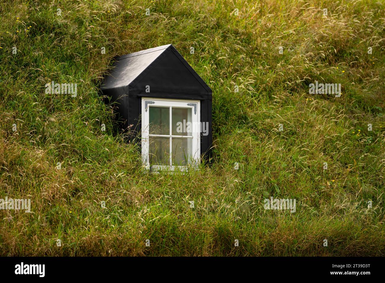 Exterior of small rural house with window located in dense green grass ...