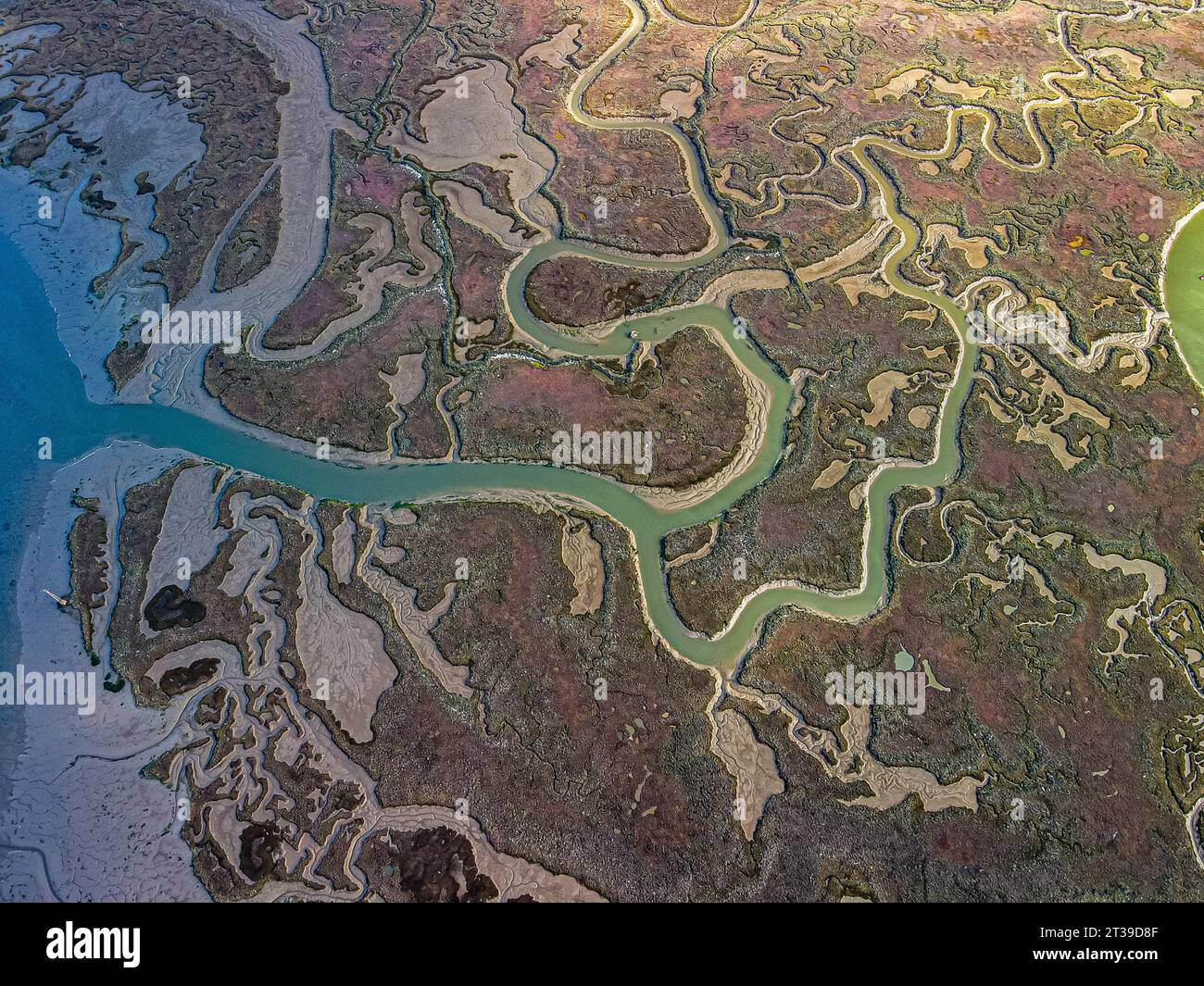 Intricate intertwining pattern hi-res stock photography and images - Alamy