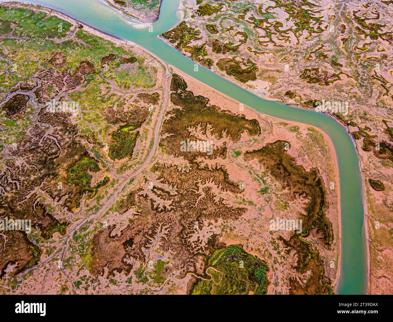 Aerial view of vibrant marshland with intertwining waterways and ...