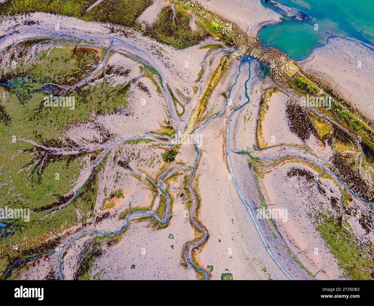 Aerial view of vibrant marshland with intertwining waterways and ...