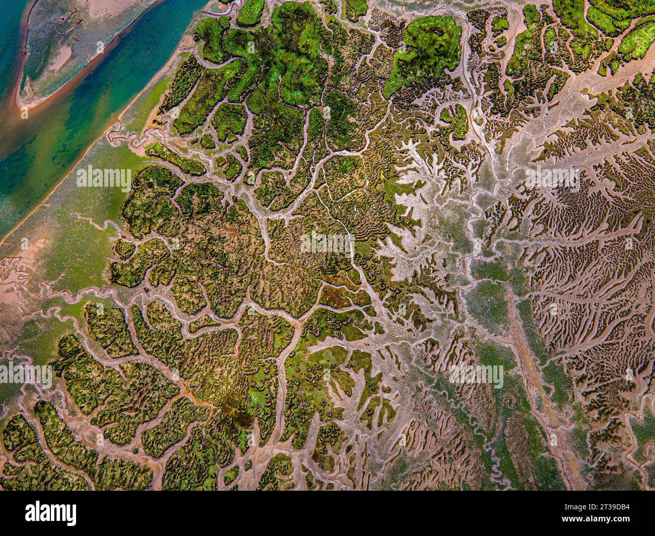 Aerial view of vibrant marshland with intertwining waterways and ...