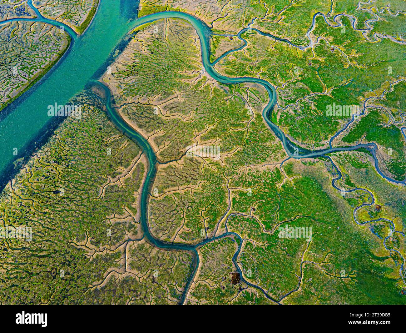 Overhead capture of blue river channels snaking through a vast green ...