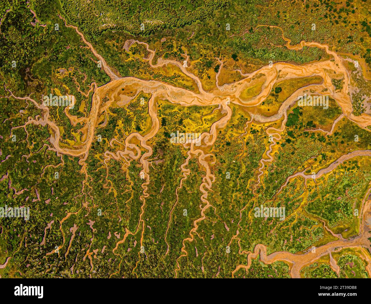Aerial view of sprawling marshlands with intricate waterways weaving ...