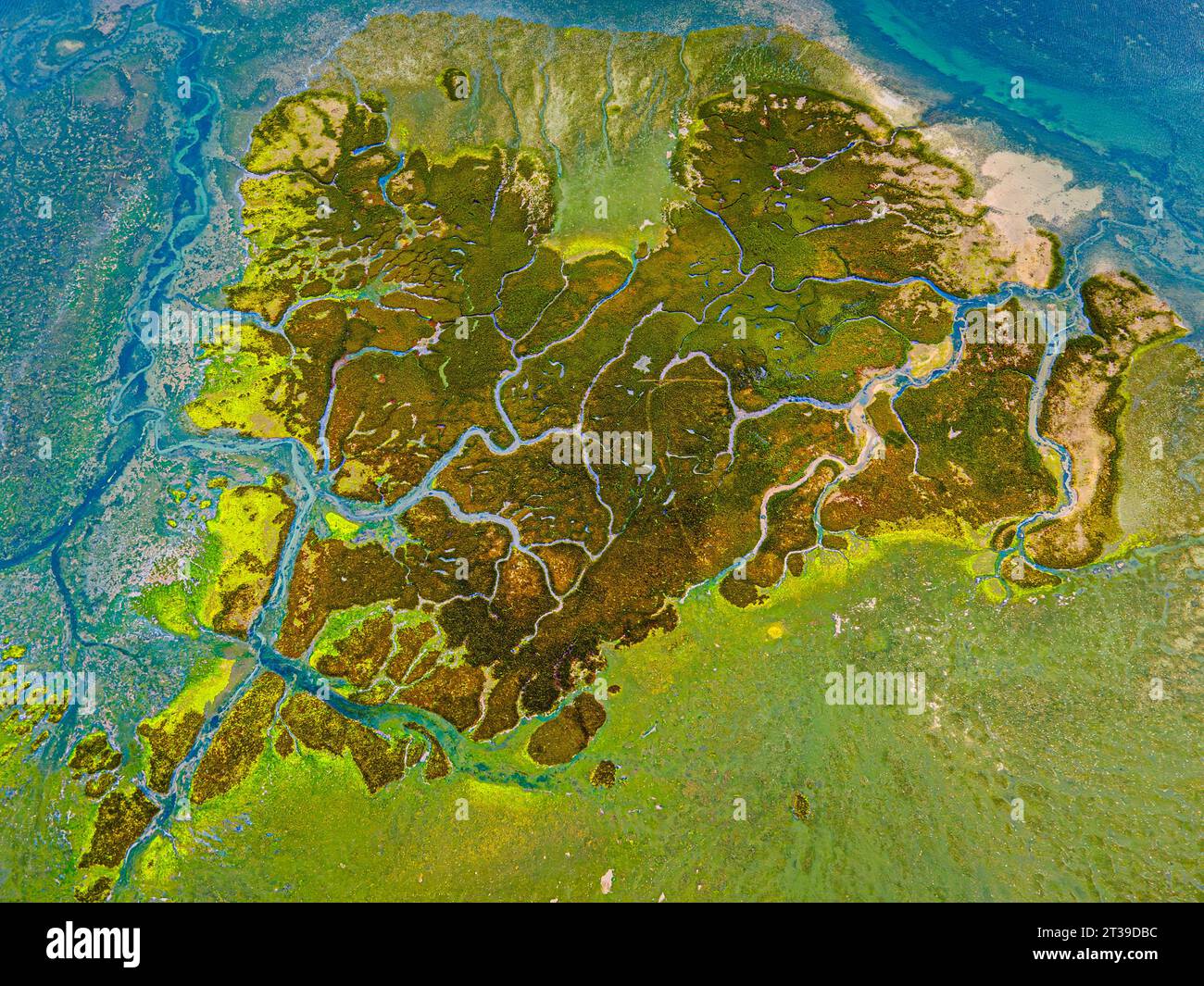 An overhead shot displays a colorful marshland with a mix of green and ...