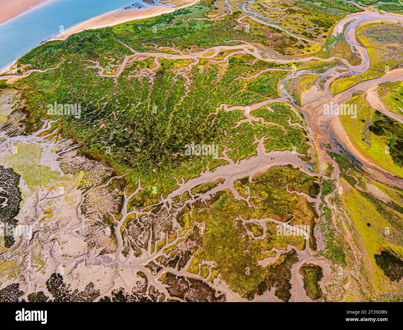 An overhead shot displays a colorful marshland with a mix of green and ...