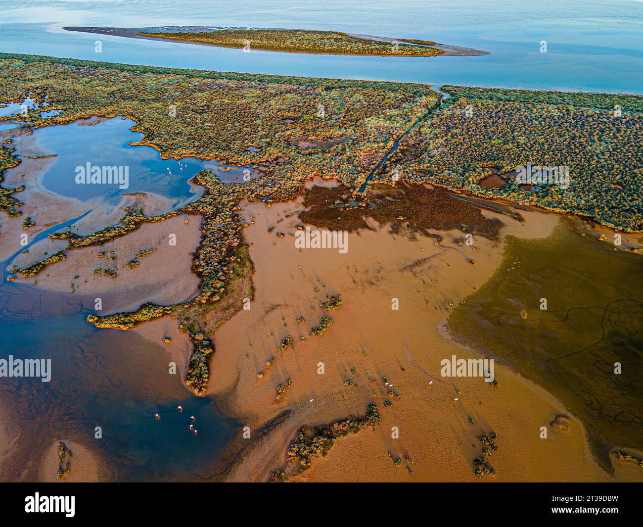 Aerial view of a vast marshland with water channels and colorful ...