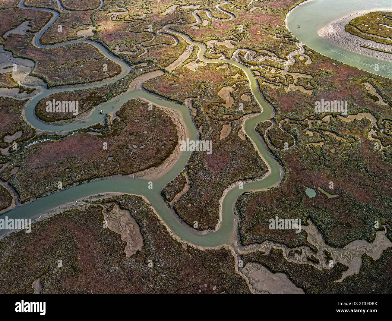 Aerial view of a colorful marshland with intricate water patterns and ...