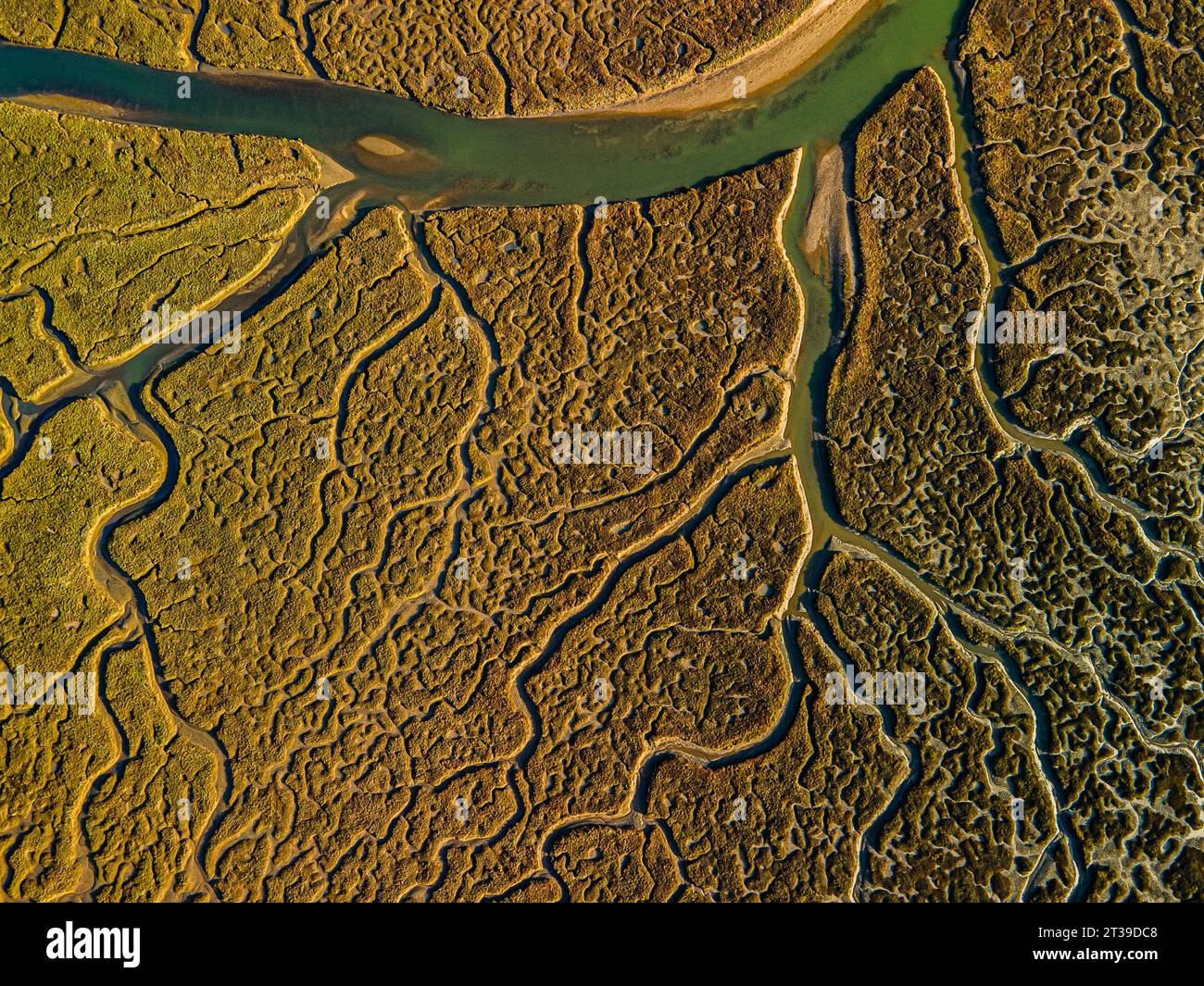 Aerial view of intricate marshland patterns with a winding river ...