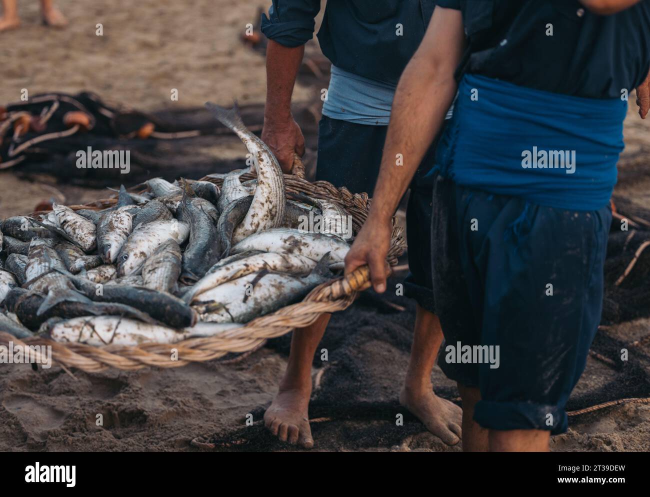 From above of anonymous fishermen in casual clothes with barefoot while ...