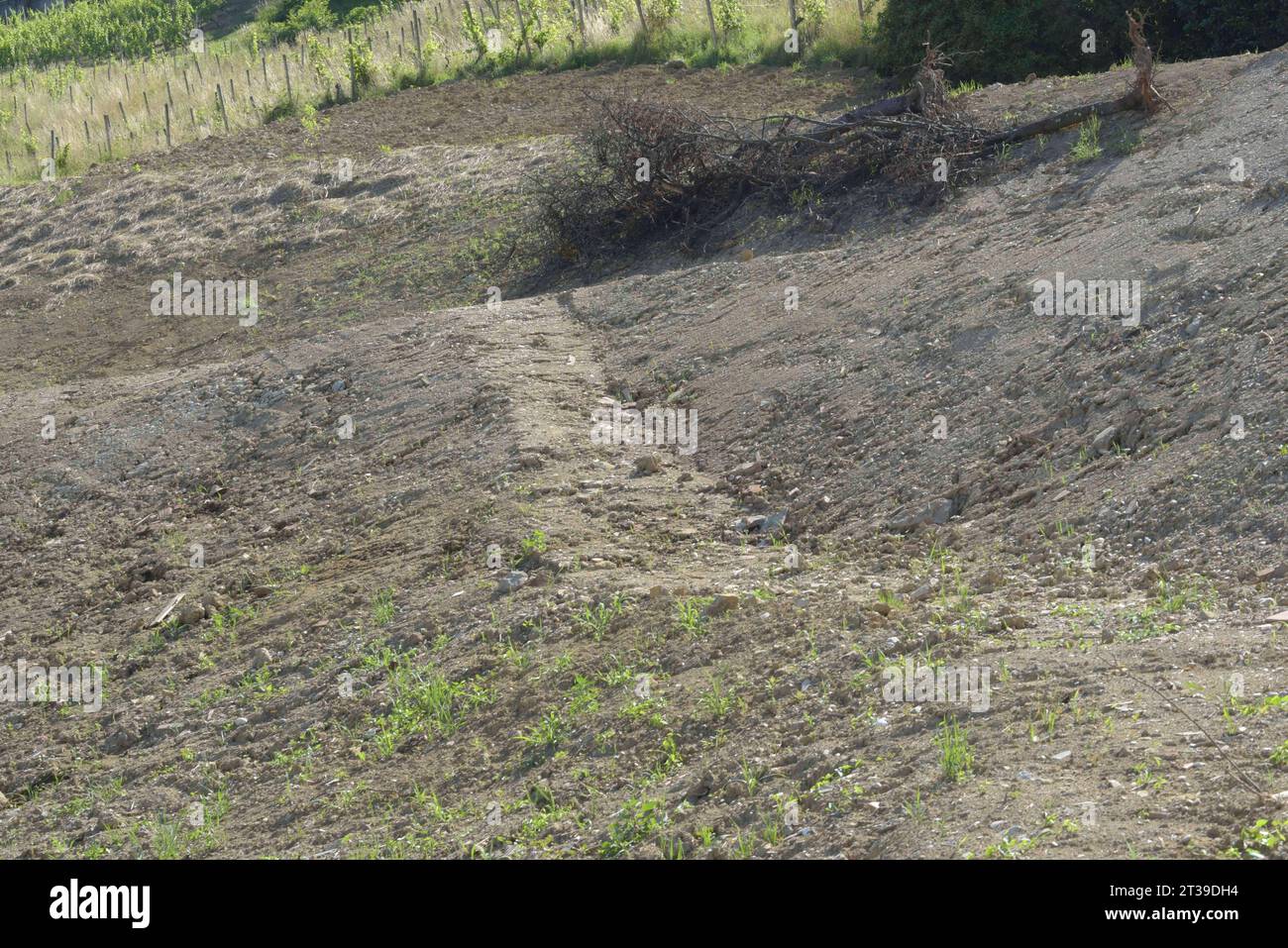 Soil On A Field In Agriculture, Usable Land And Arable Farming Soil On ...