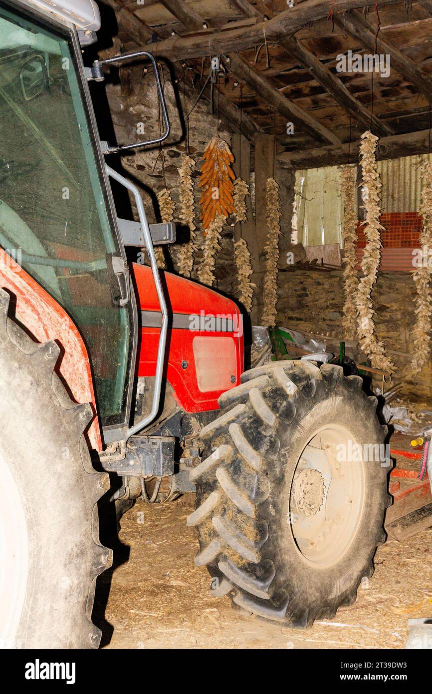 Side view of crop red tractor parked in wooden barn with hanging corn ...