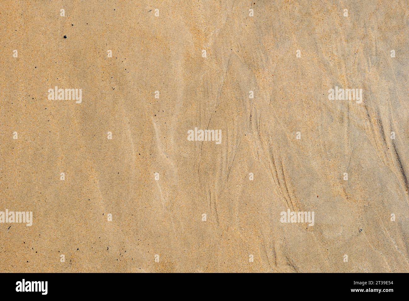 Close-up view of fine golden sand with subtle patterns and tiny black ...
