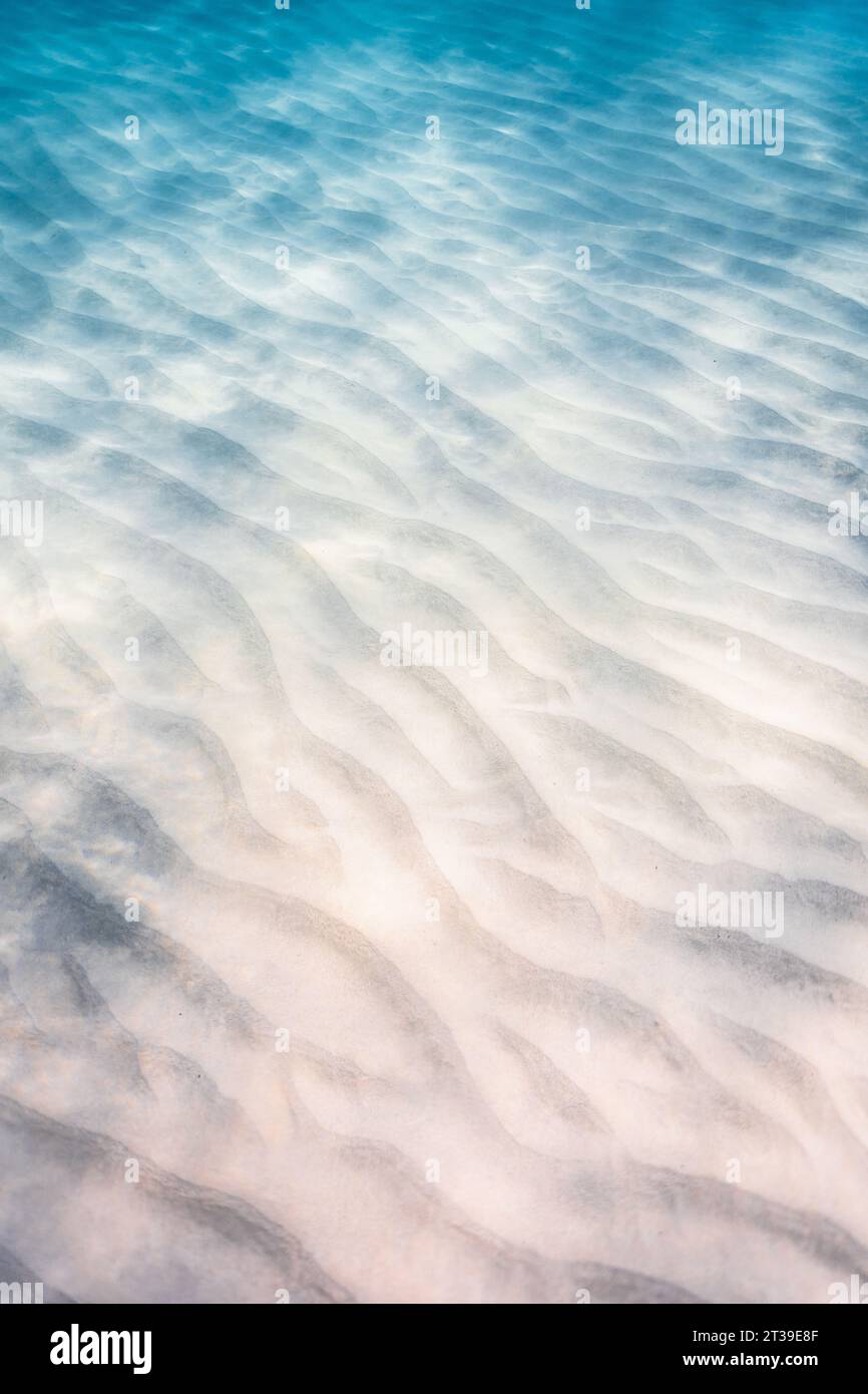 Photo of a mesmerizing underwater view of a sandy beach with intricate ...